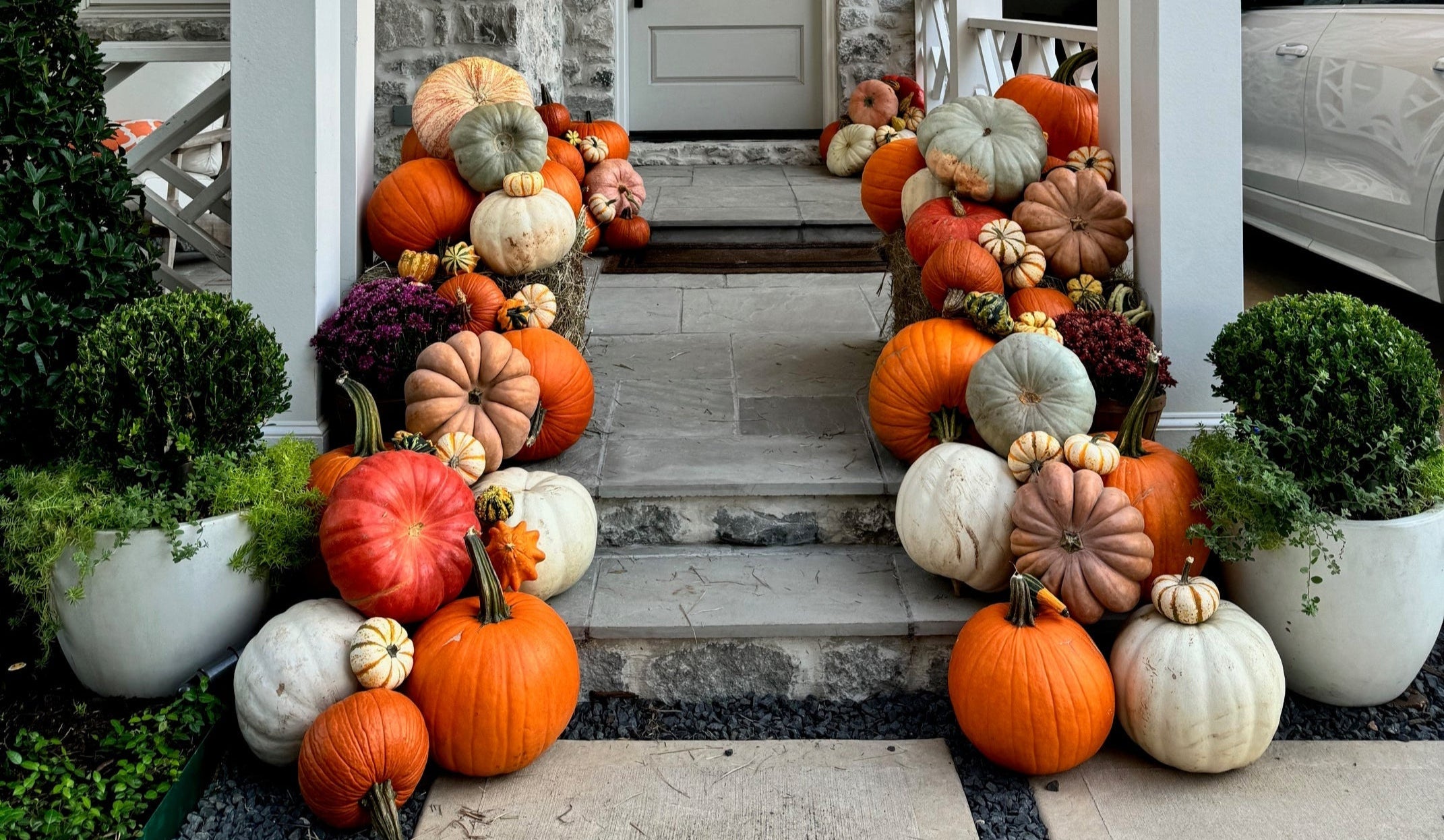2025 Porch Pumpkin Packages & Add-ons – The Pumpkin Project Victoria
